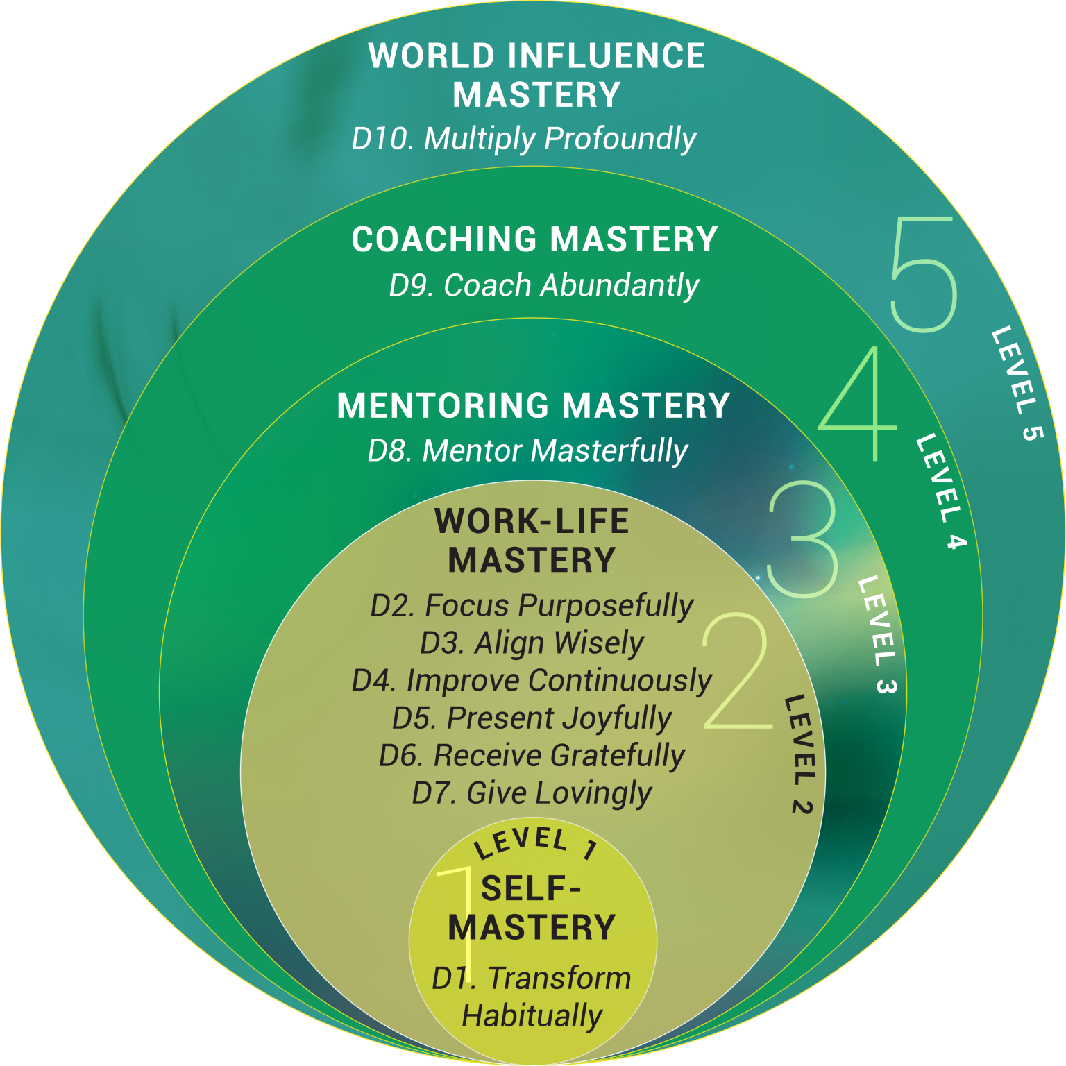 5 Levels of Mastery