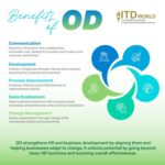 Organization Development (OD): A Closer Look | ITD World