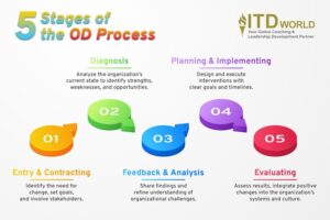 Organization Development (OD): A Closer Look | ITD World