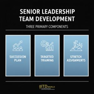 Senior Leadership Playbook: Bridging Strategy & Execution | ITD World